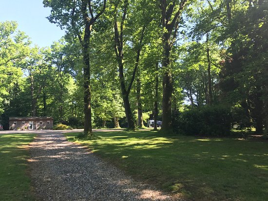 Alpine Grove Touring Park - Discover Crewkerne